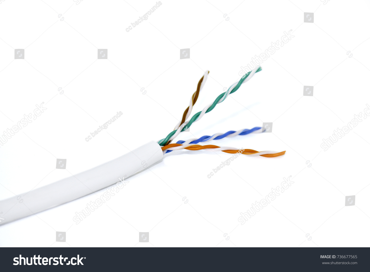 Lan Cable Isolated Stock Photo (Edit Now) 736677565