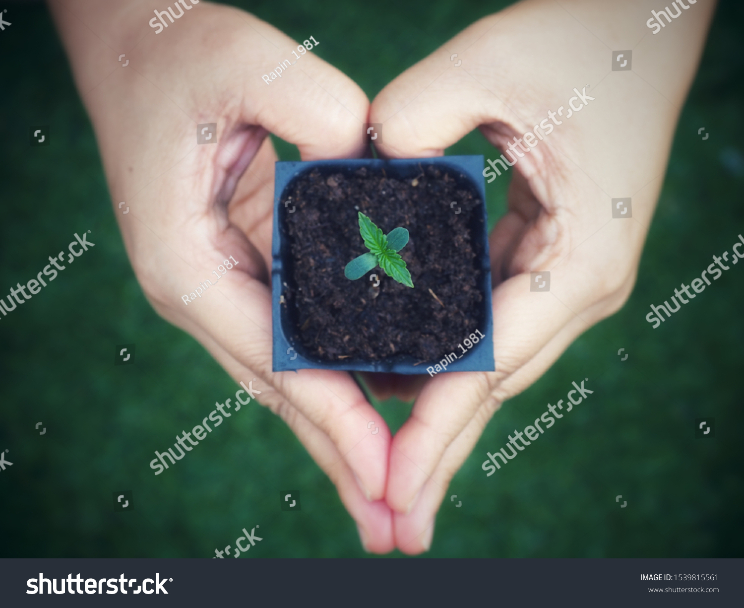 648 fotos de Human heart growing tree - Fotos, imágenes y otros ... 648 fotos de Human heart growing tree - Fotos, imágenes y otros ...