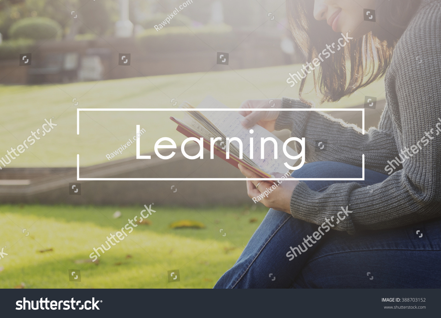 Learning Study Progress Improvement Understanding Concept Stock Photo ...