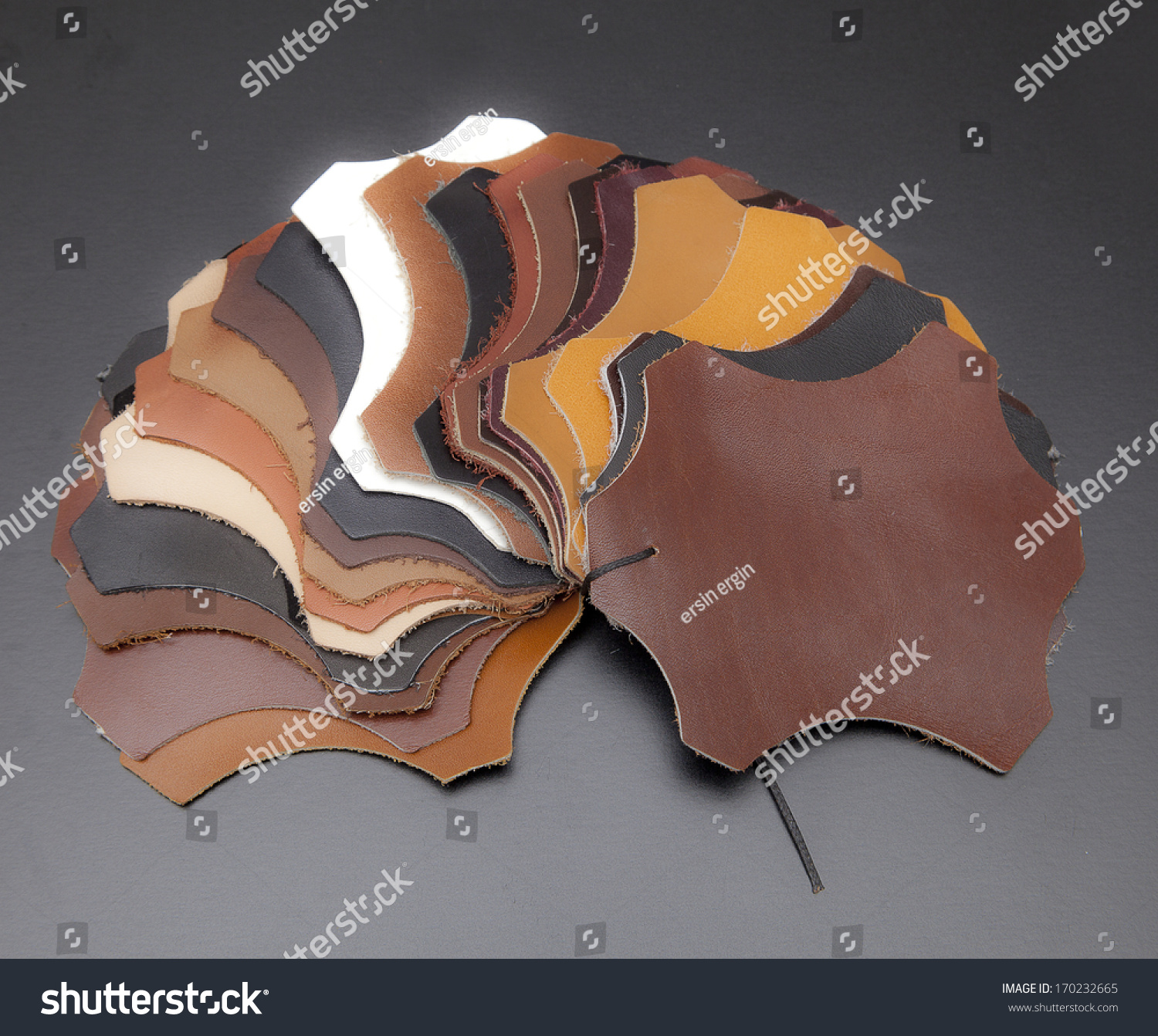 Leather Chart Stock Photo (Edit Now) 170232665