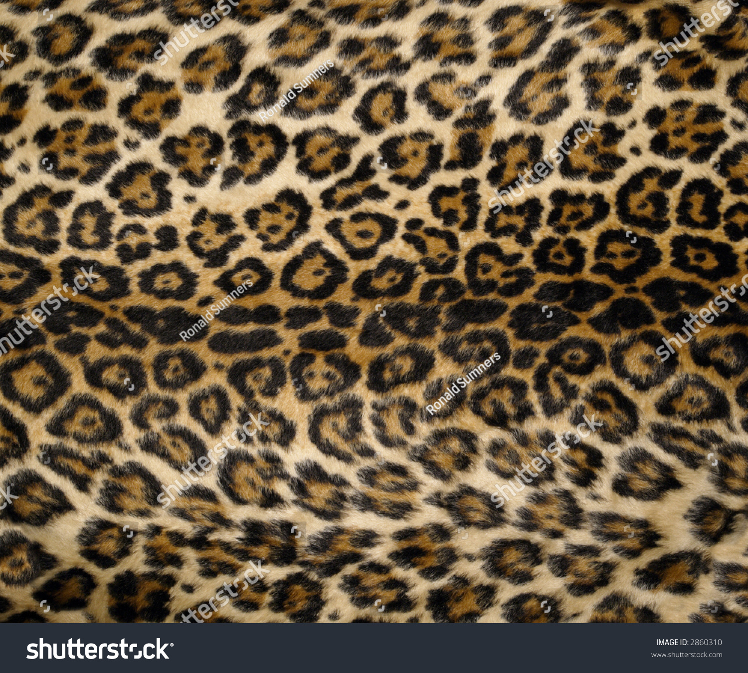 Fondo de impresión Leopardo Foto de stock 2860310 | Shutterstock