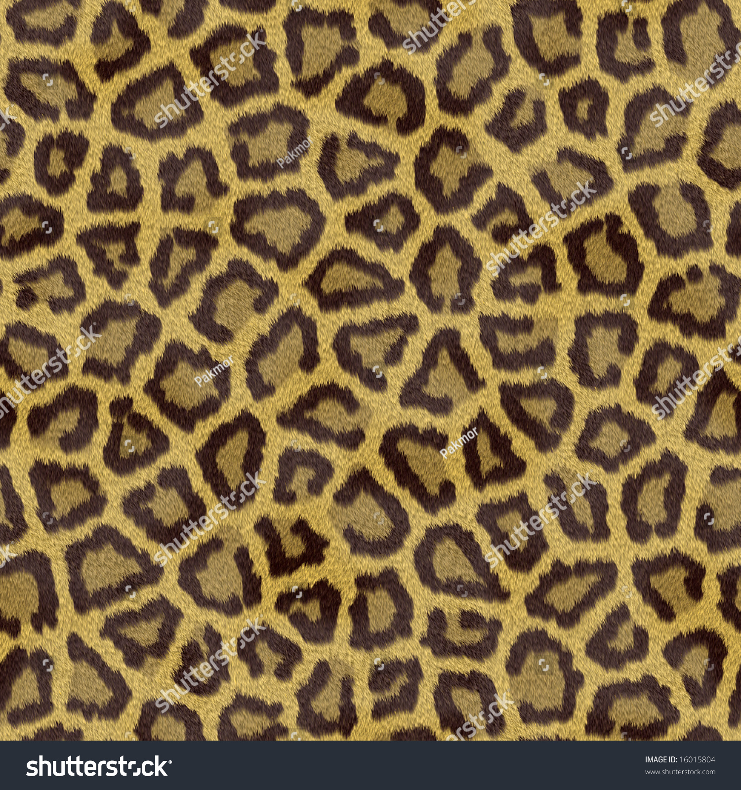 Leopard Texture Stock Photo 16015804 : Shutterstock