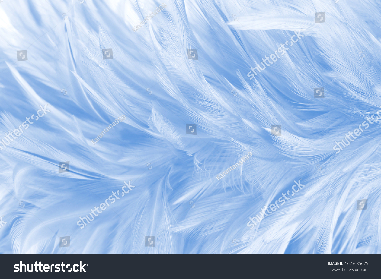 Light Blue Feather Pattern Texture Background Stock Photo (Edit Now ...