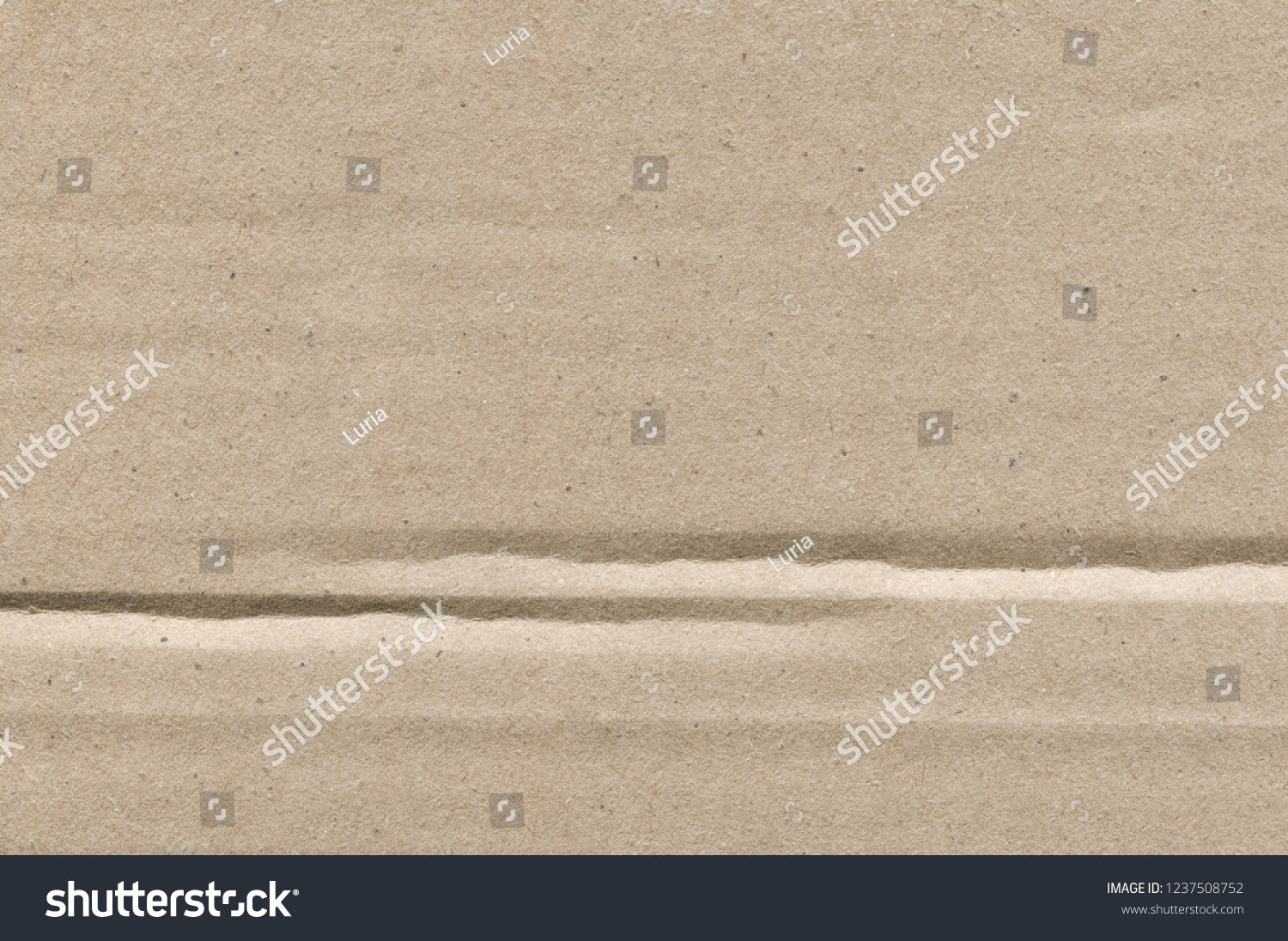 Light Cardboard Texture Stock Photo 1237508752 | Shutterstock