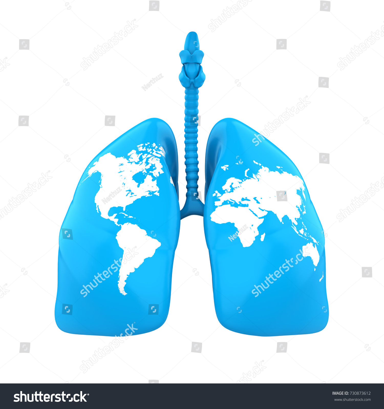 Lung World Map Isolated 3d Rendering Stock Illustration 730873612 ...