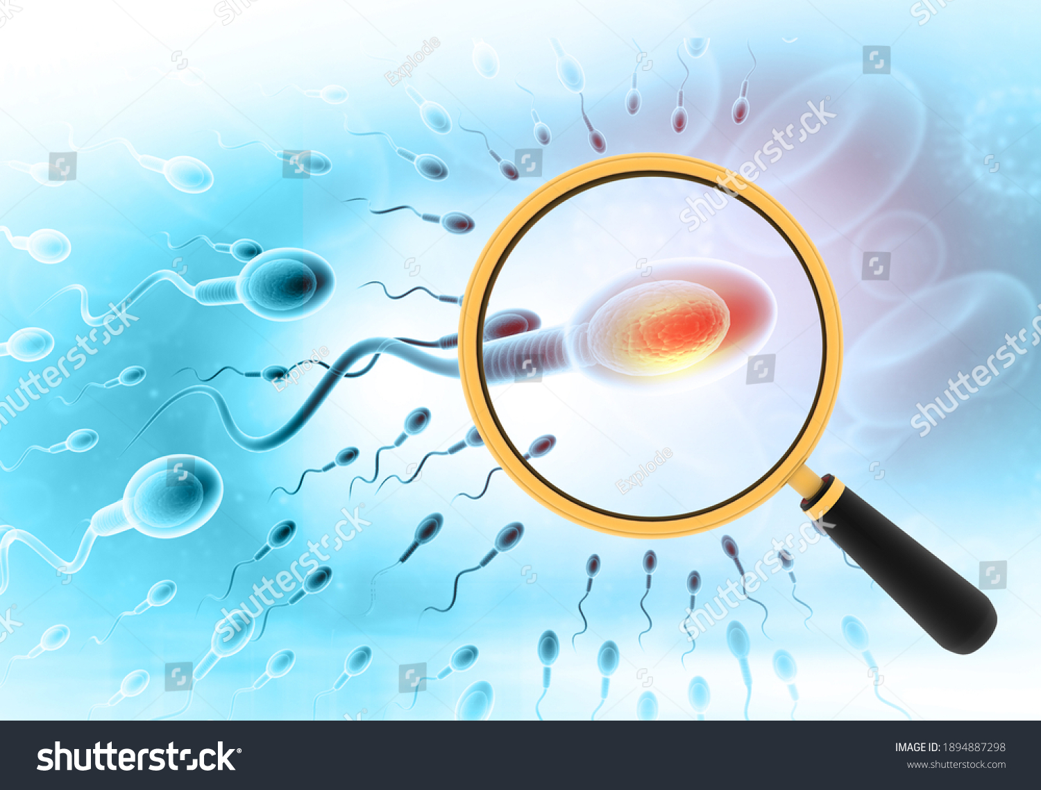 Magnifying Glass Human Sperm 3d Illustration Stock Illustration