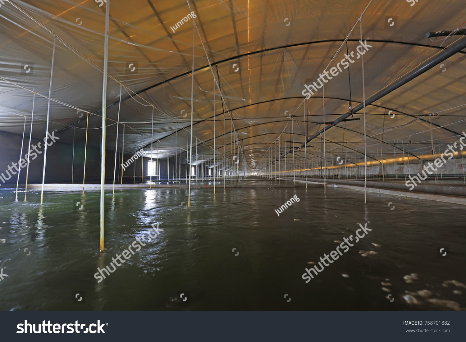 Mariculture Pond China Stock Photo 758701882 | Shutterstock Mariculture Pond China Stock Photo 758701882 | Shutterstock
