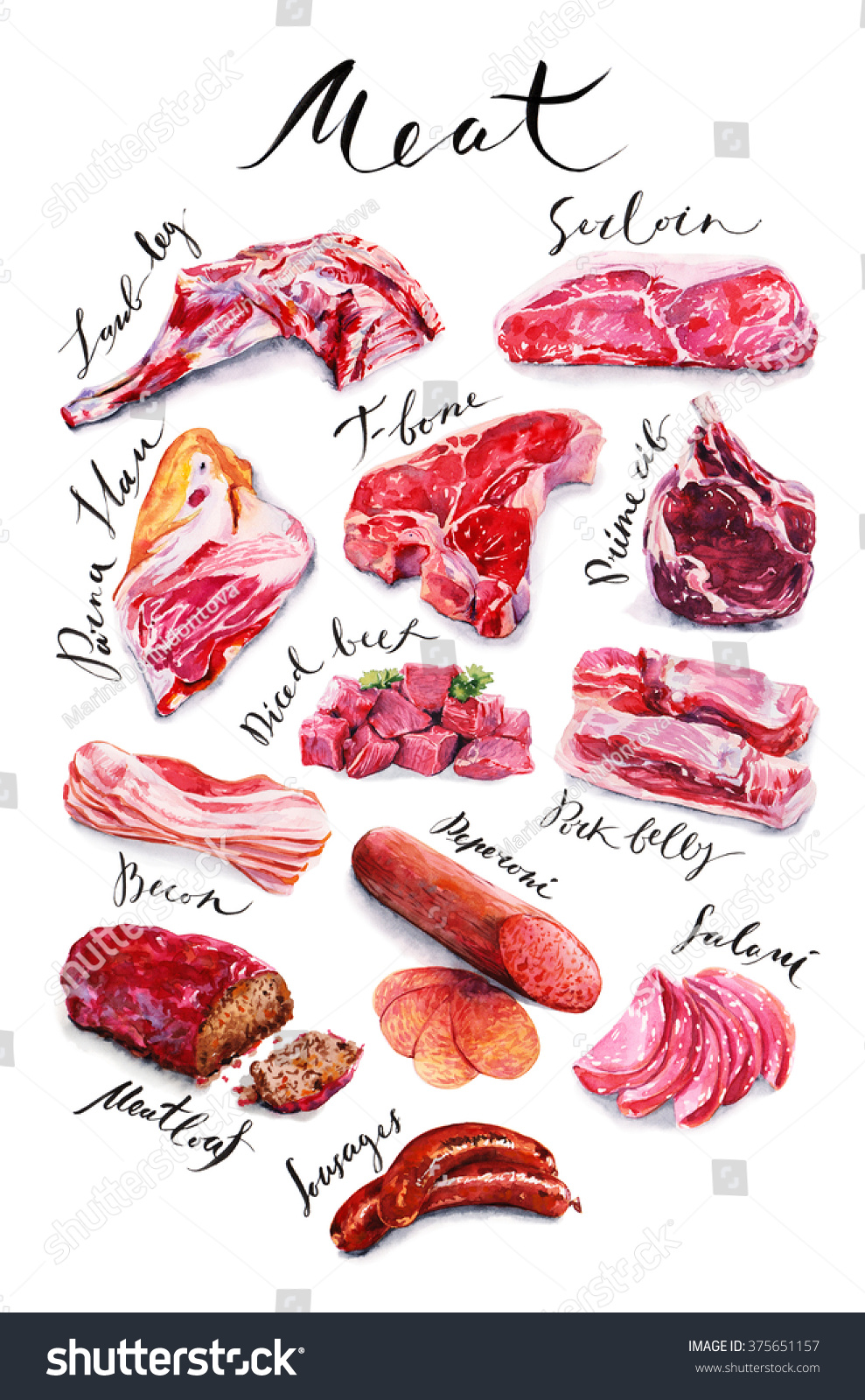 Meat Stock Illustration 375651157 | Shutterstock