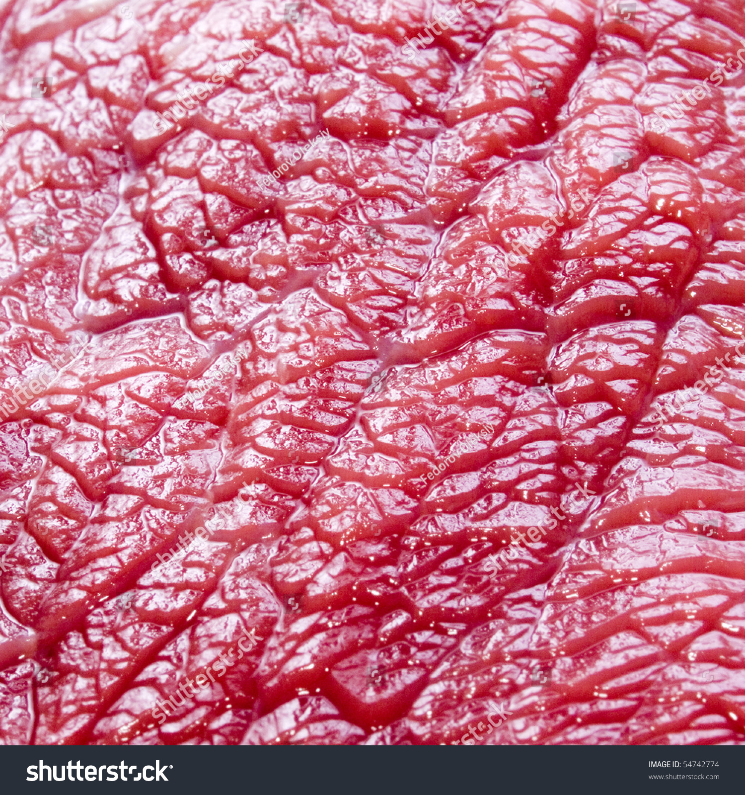 Meat Texture Background. Stock Photo 54742774 : Shutterstock
