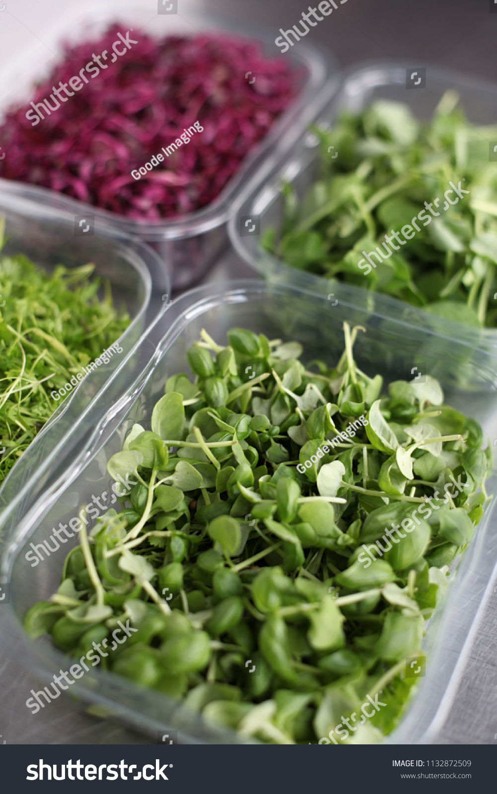 Micro Herb Display Stock Photo 1132872509 | Shutterstock