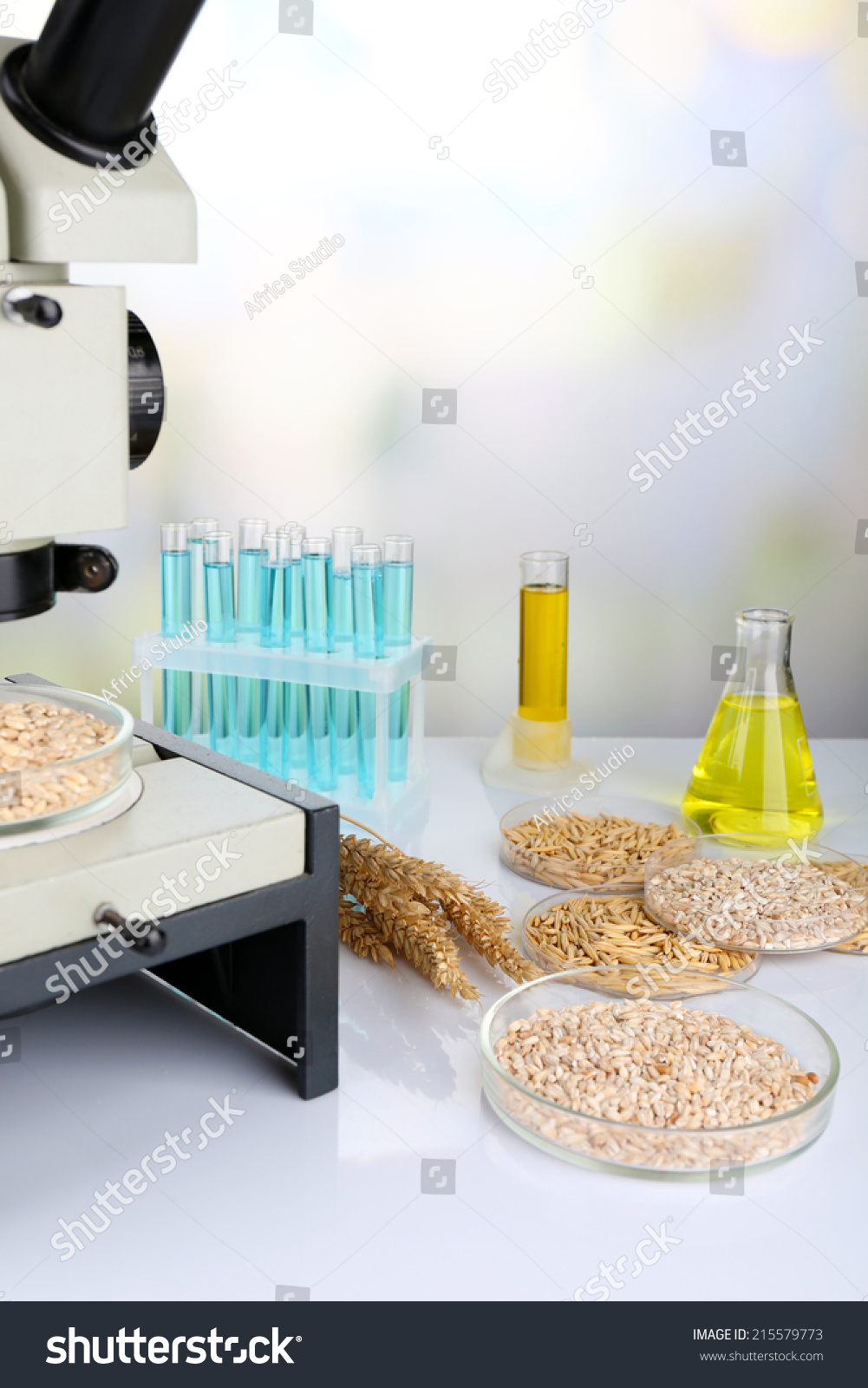 Microbiological Testing Food Quality Biochemistry Laboratory Stock ... Microbiological Testing Food Quality Biochemistry Laboratory Stock ...