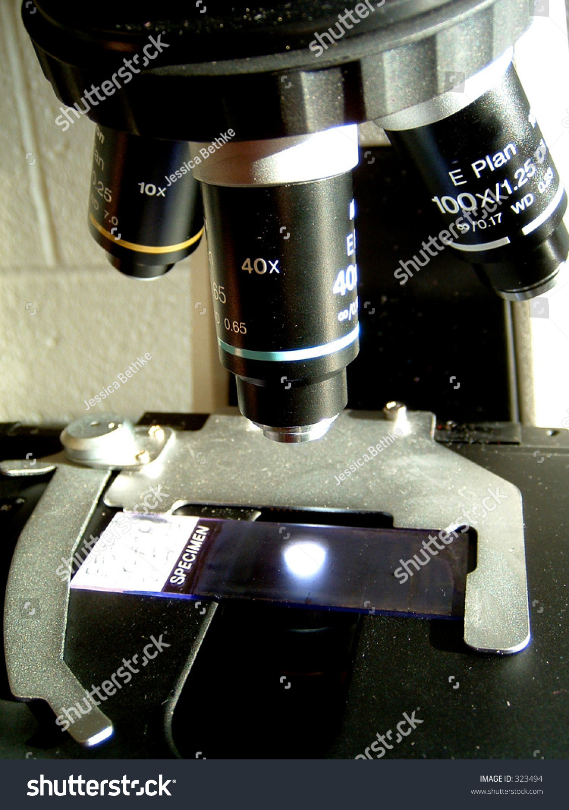 Microscope Slide Stock Photo (Edit Now) 323494