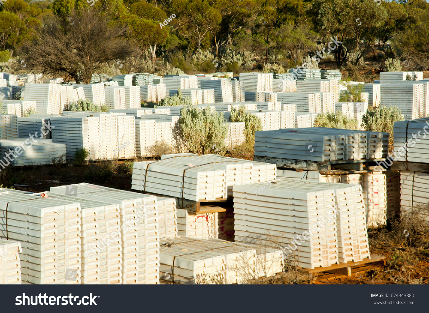 Coreyard Images, Stock Photos & Vectors | Shutterstock