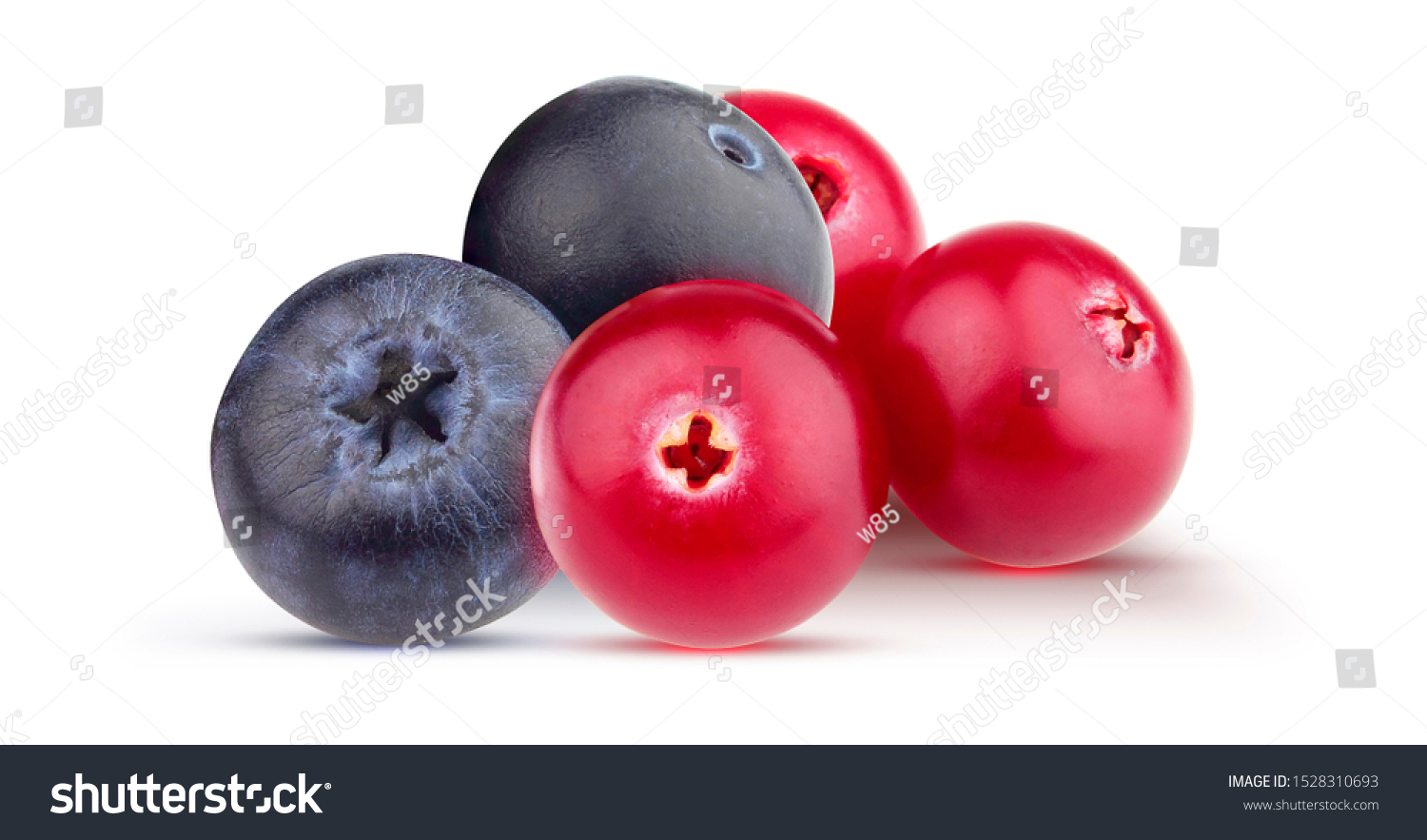 1 Fruta suculenta Images, Stock Photos & Vectors | Shutterstock