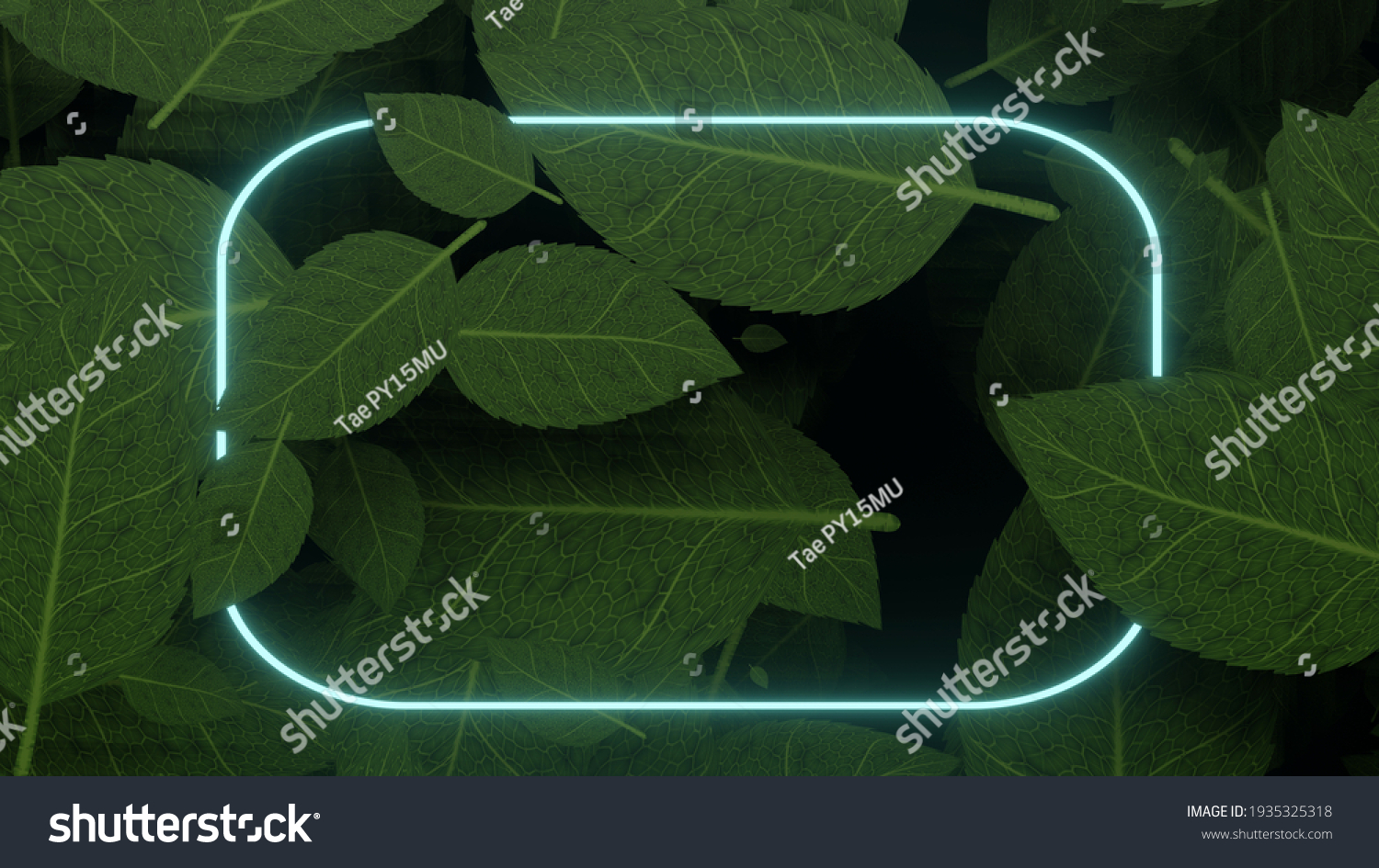 Mixed Green Leaf Rounded Corner Rectangle Stock Illustration 1935325318 ...