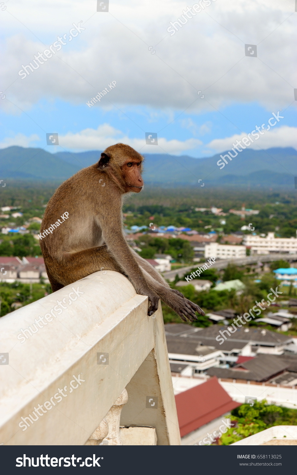 Sightseeview Images, Stock Photos & Vectors | Shutterstock