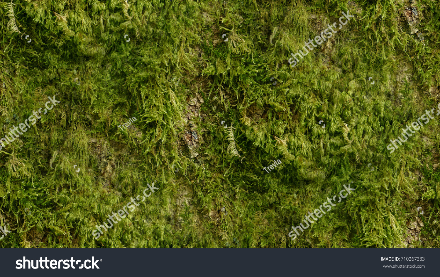 10,548 Seamless moss background Images, Stock Photos & Vectors ...
