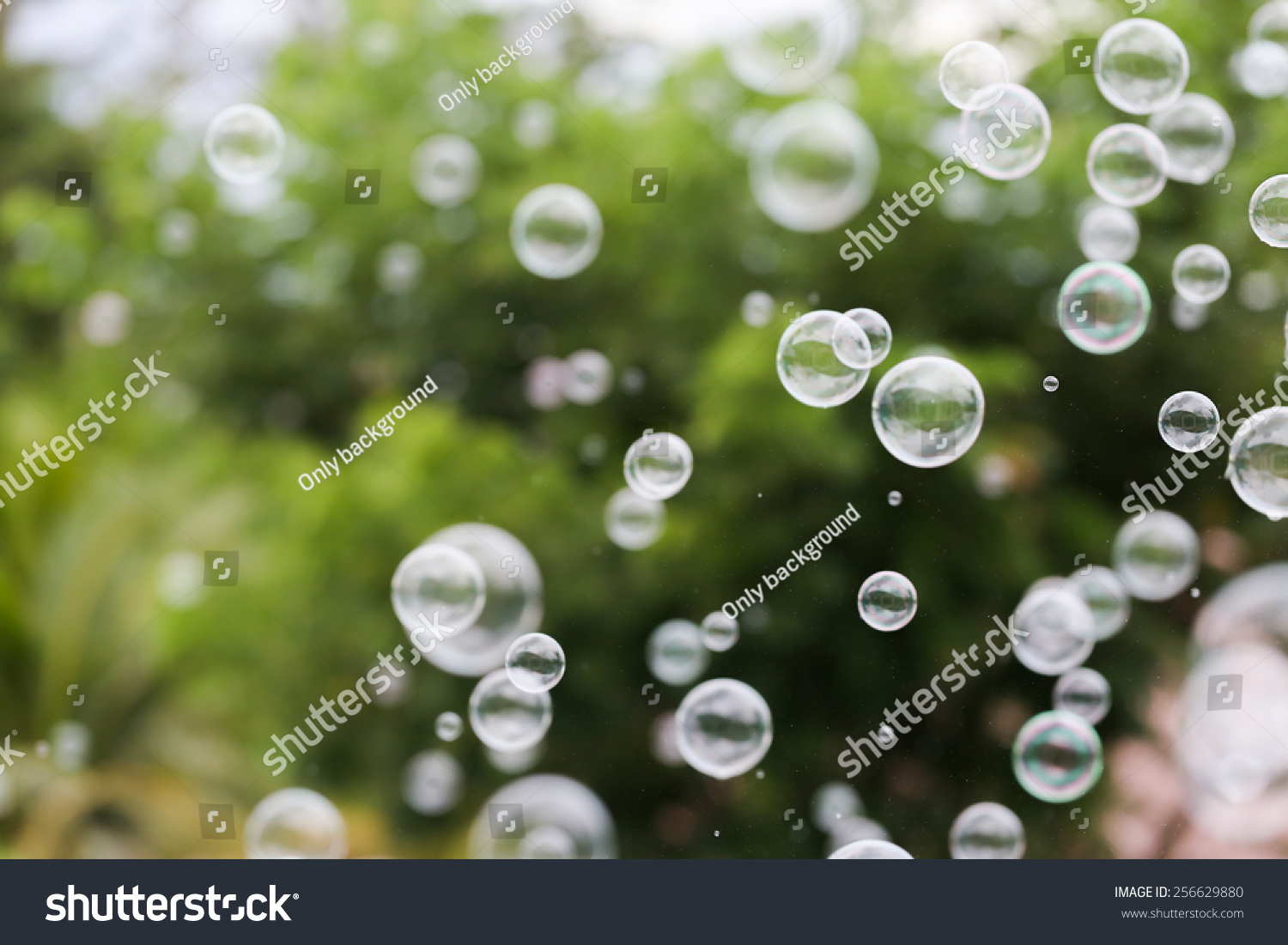 Moving Bubbles Background Stock Photo (Edit Now) 256629880