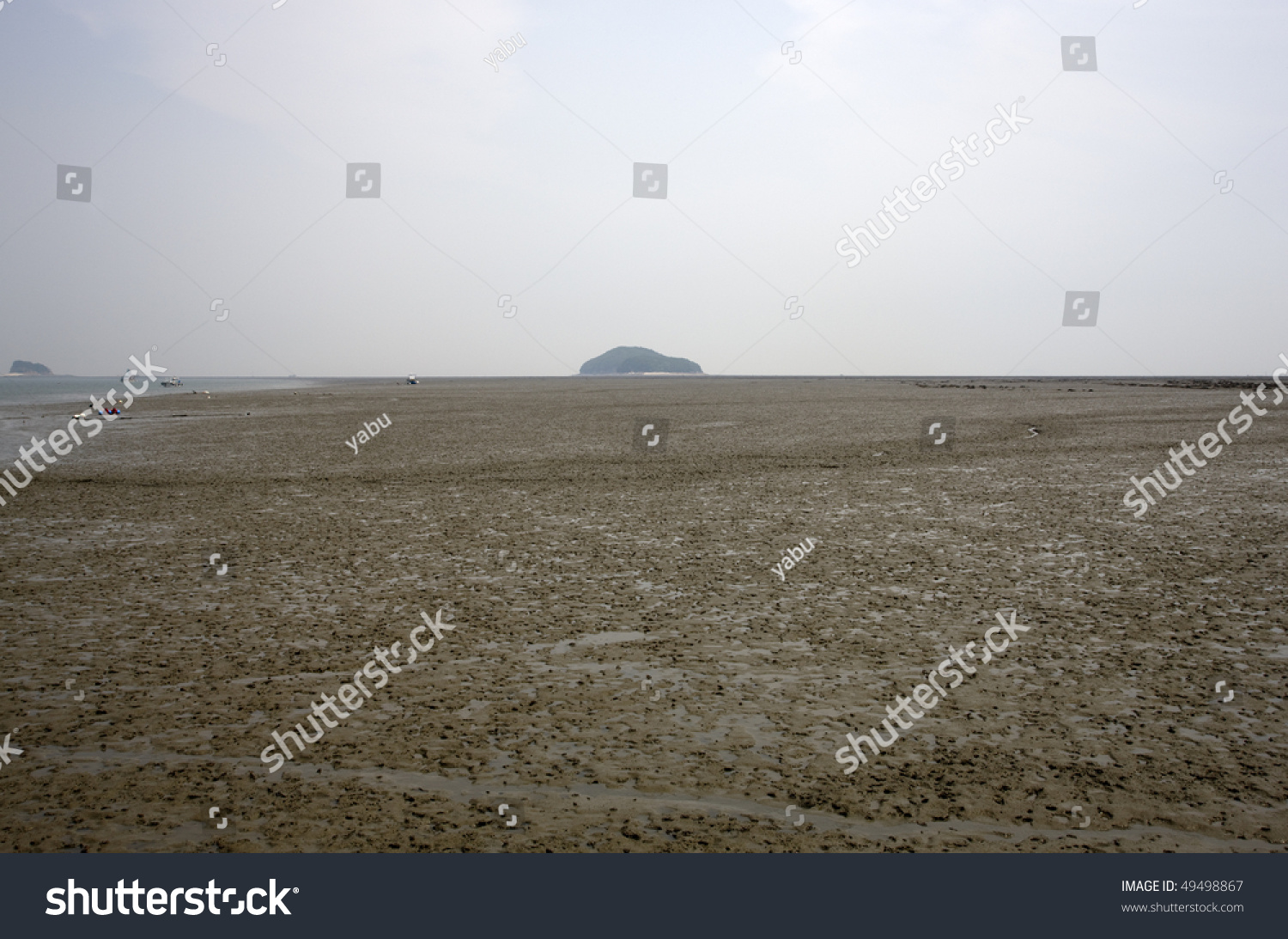 Mud Flat Stock Photo 49498867 | Shutterstock
