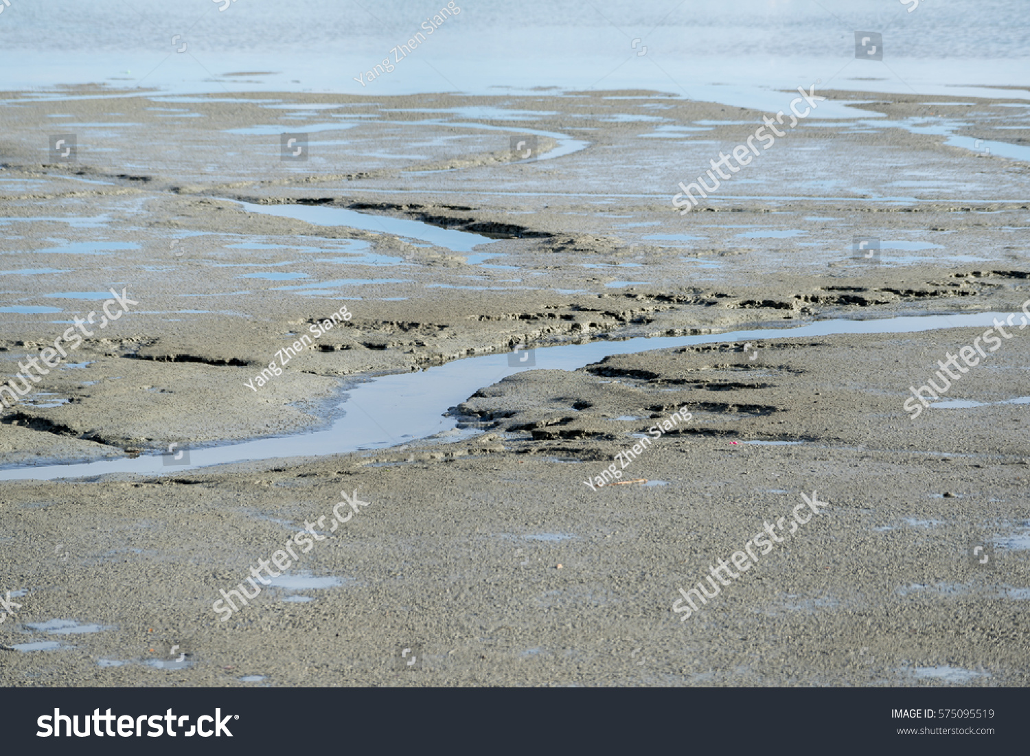 Mud Texture Stock Photo 575095519 | Shutterstock