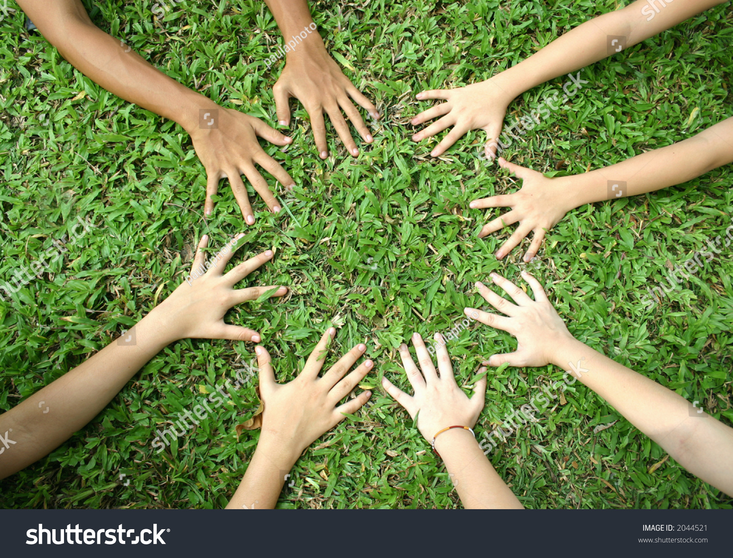 Multicultural Hands Stock Photo 2044521 : Shutterstock