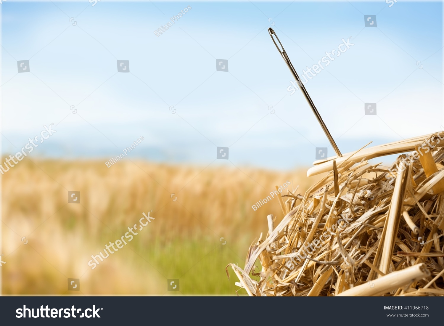 375 Finding needle in a haystack Images, Stock Photos & Vectors ...