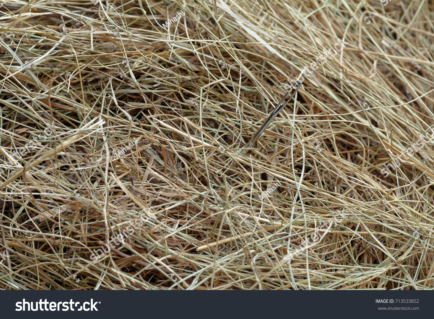 Needle Haystack Needle Haystack Stock Photo 713533852 | Shutterstock