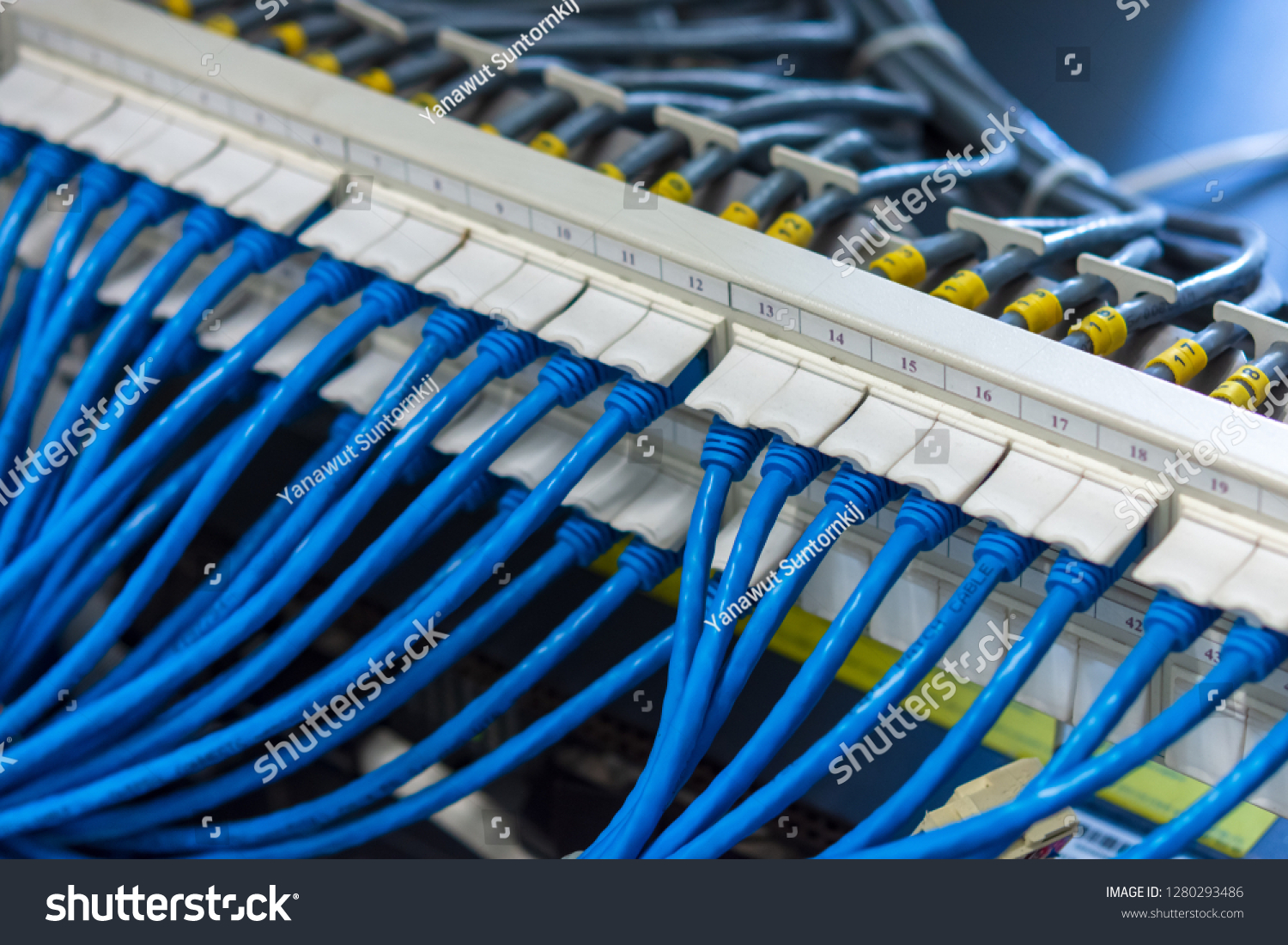 Network Cabling System Utp Patch Panel Stock Photo (Edit Now) 1280293486