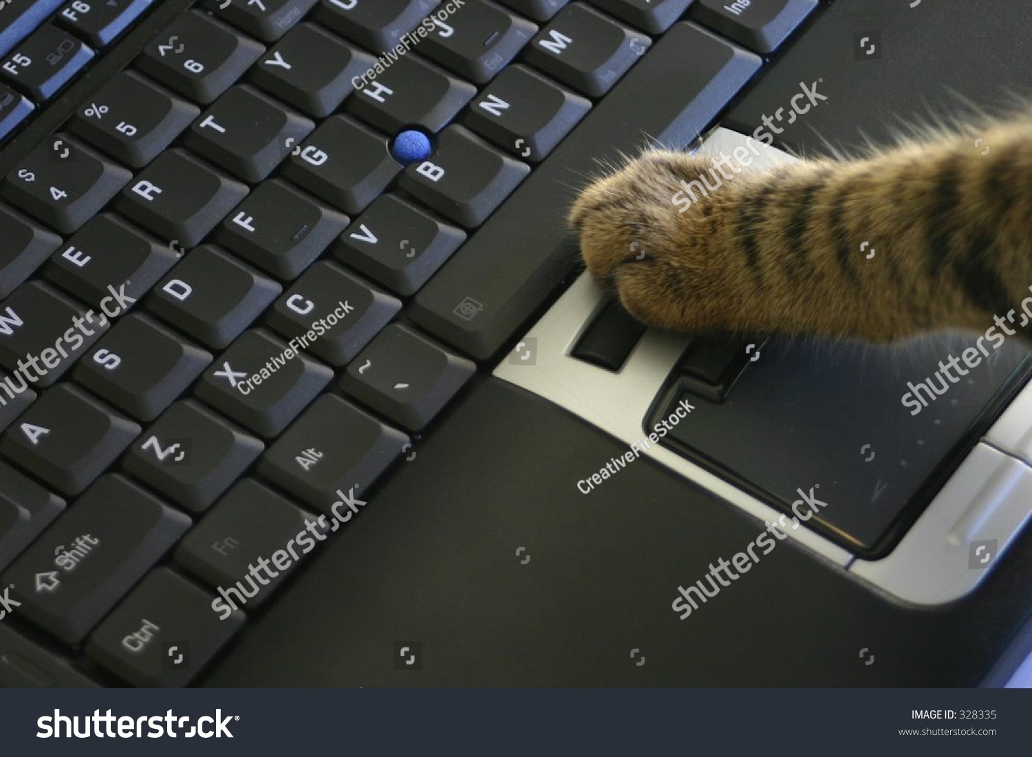 Notebook Laptop Computer Cat Paw Using Stock Photo 328335 | Shutterstock