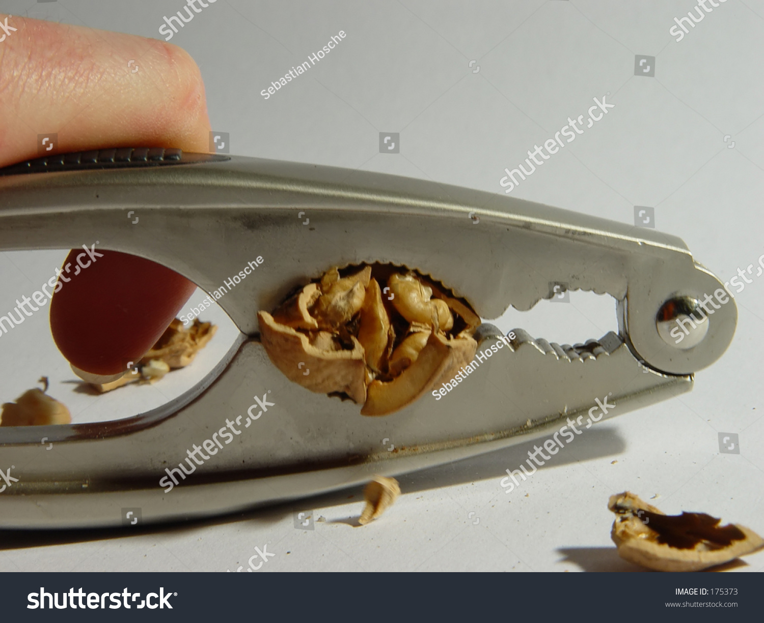 Nutcracker Successfully Smashed Walnut Side View Stock Photo 175373 ...