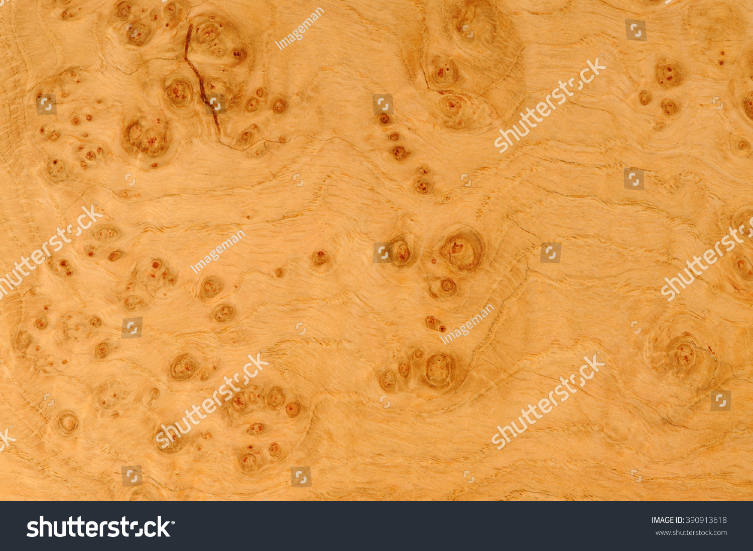 Oak Root Texture Stock Photo (Edit Now) 390913618