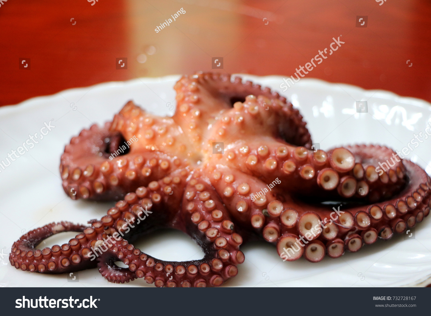 Octopus Stock Photo 732728167 | Shutterstock