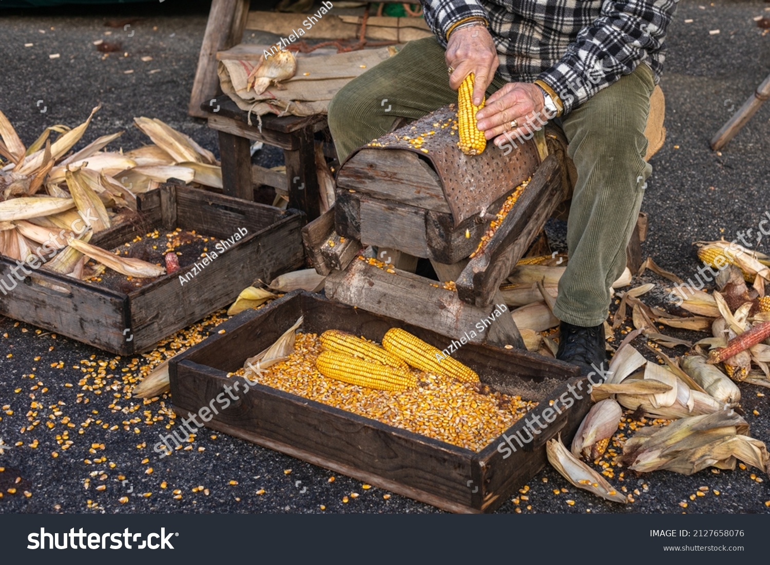 Sheller Images, Stock Photos & Vectors | Shutterstock