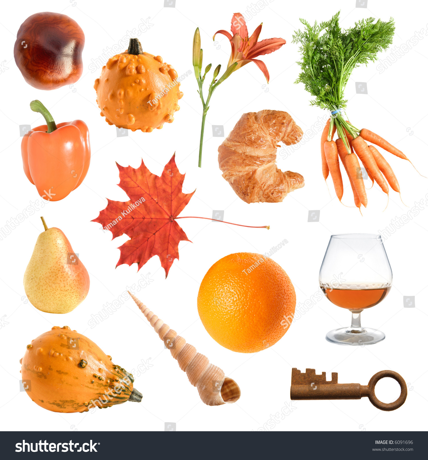 Orange Objects Collection Stock Photo (Edit Now) 6091696 - Shutterstock