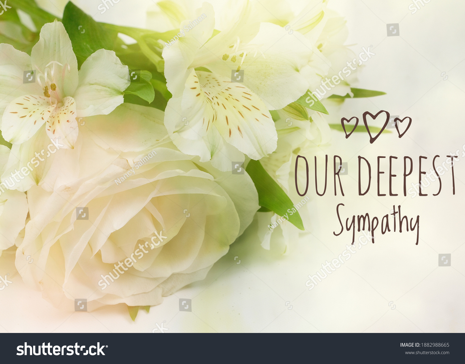Our Deepest Sympathy Card Soft Focus Stock Photo 1882988665 | Shutterstock Our Deepest Sympathy Card Soft Focus Stock Photo 1882988665 | Shutterstock