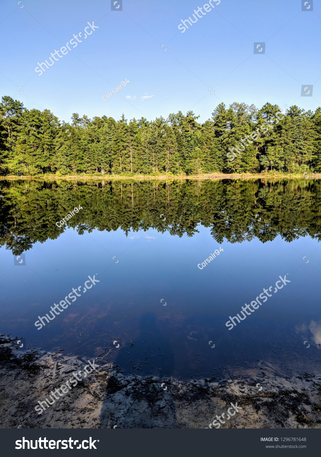 Pakim Pond Brenden Byrne Forest Nj Stock Photo 1296781648 | Shutterstock Pakim Pond Brenden Byrne Forest Nj Stock Photo 1296781648 | Shutterstock