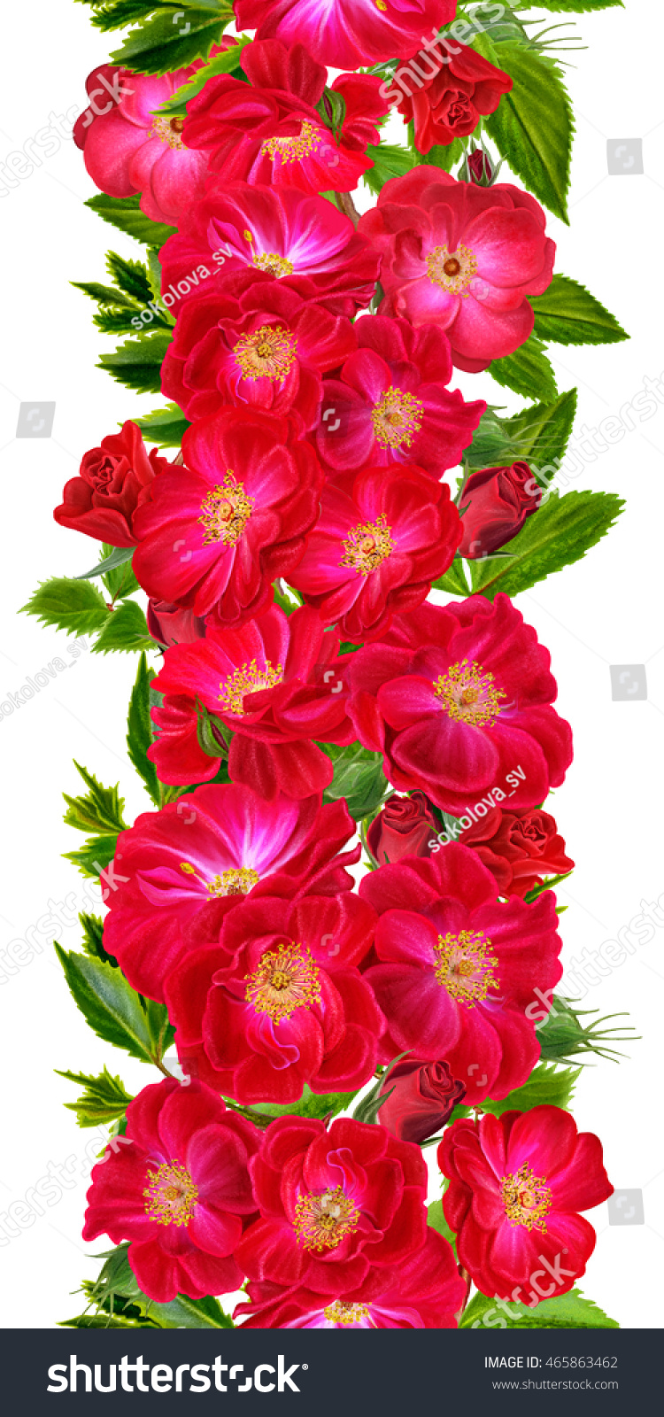 Pattern Seamless Vertical Floral Border Flower Stock Illustration 465863462