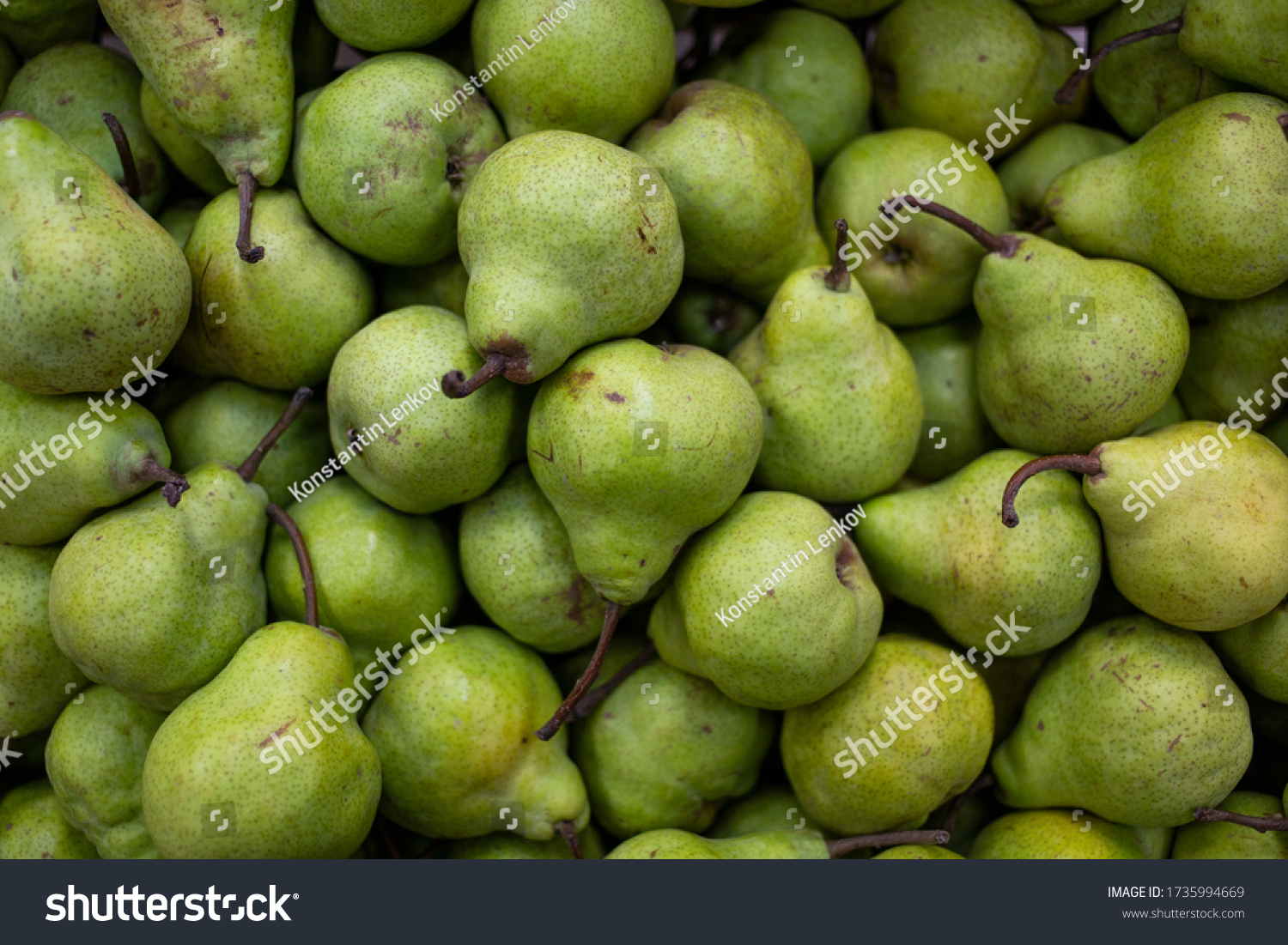 Pear Texture Pattern Background Pears Stock Photo 1735994669 | Shutterstock