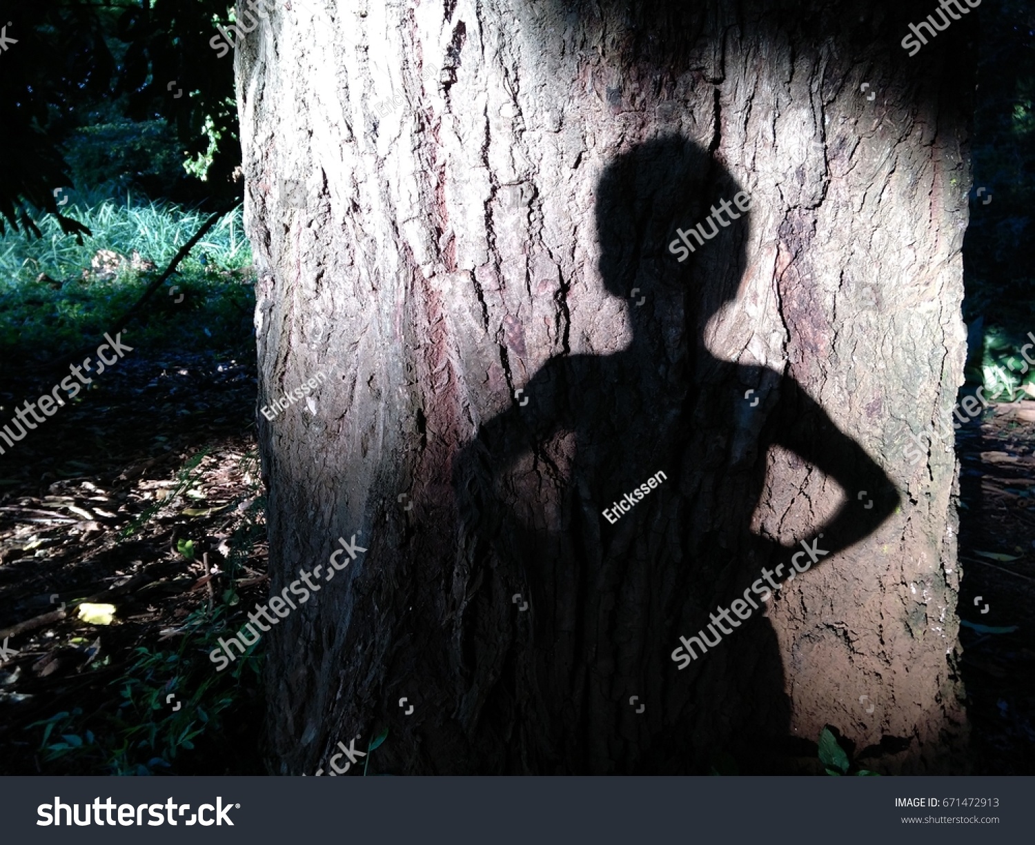 Peter Pan Shadow Stock Photo 671472913 | Shutterstock