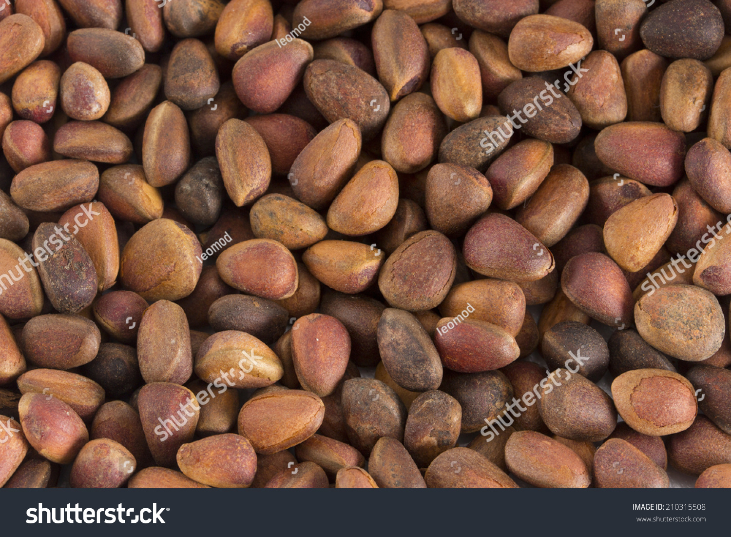 Pine Nuts In Shells As A Background Stock Photo 210315508 : Shutterstock