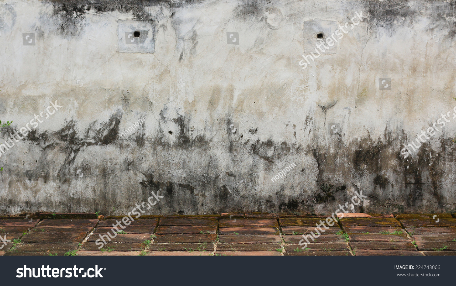 Plaster Wall Background Texture Stock Photo 224743066 | Shutterstock