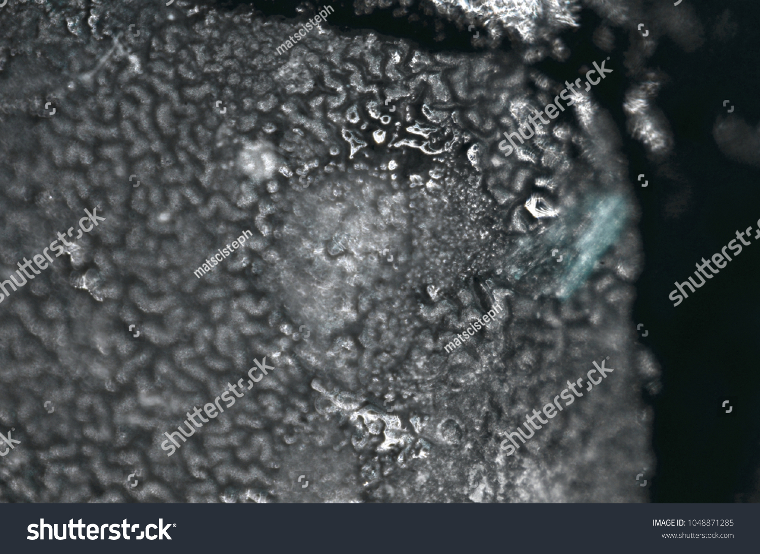 Polymer Under Microscope Stock Photo (Edit Now) 1048871285