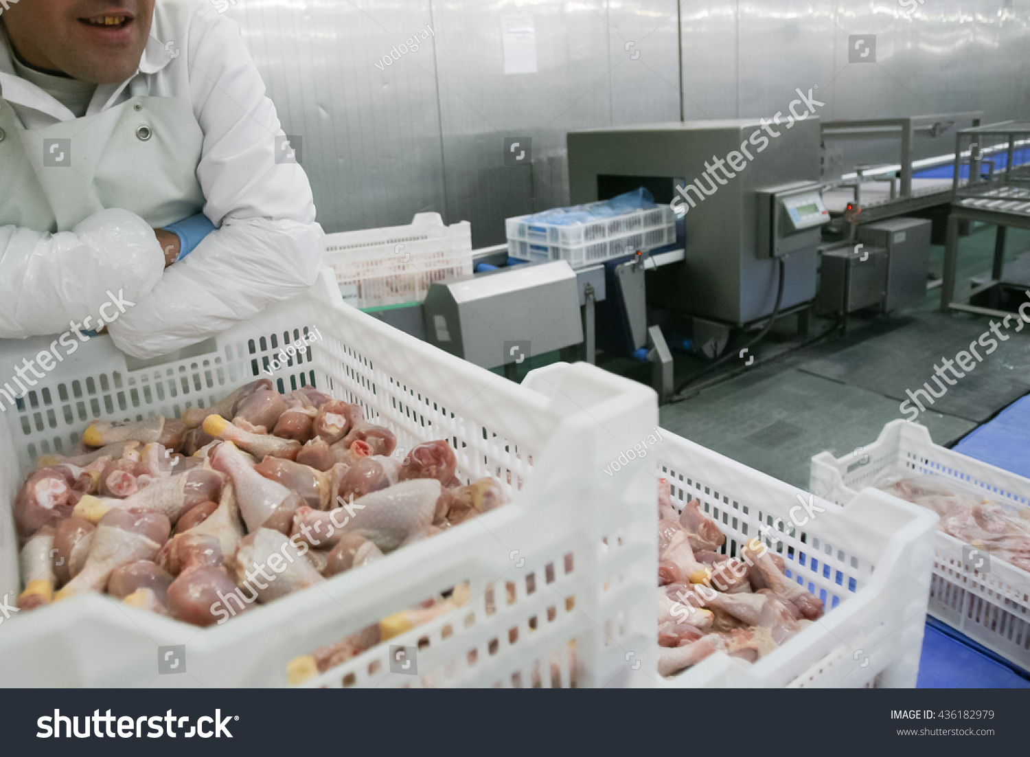 Poultry Processing Plant Stock Photo 436182979 - Shutterstock