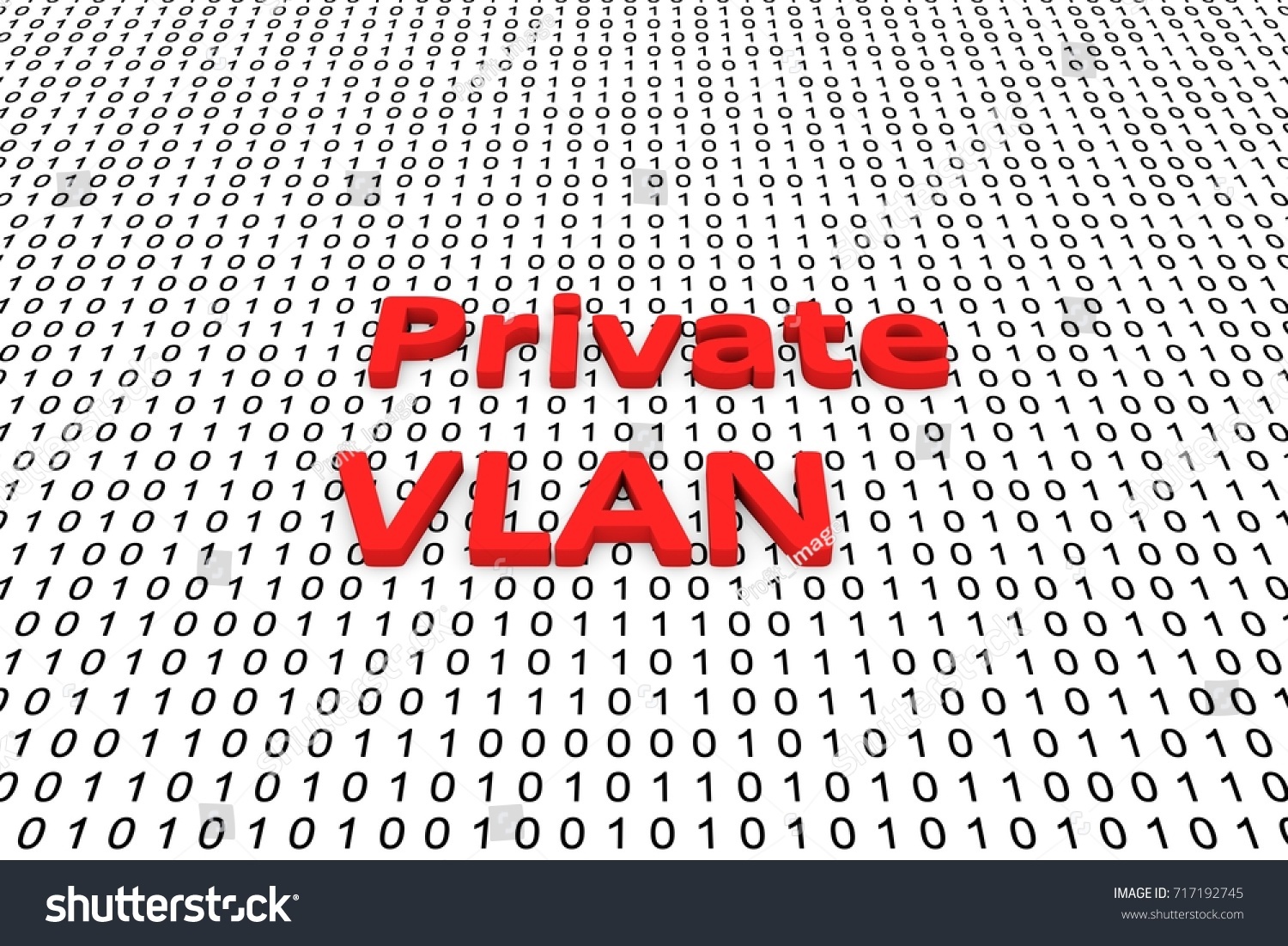 Private Vlan Binary Code 3d Illustration Stock Illustration 717192745 ...