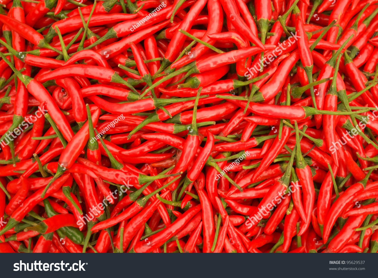 Red Chilli Background Stock Photo 95629537 : Shutterstock