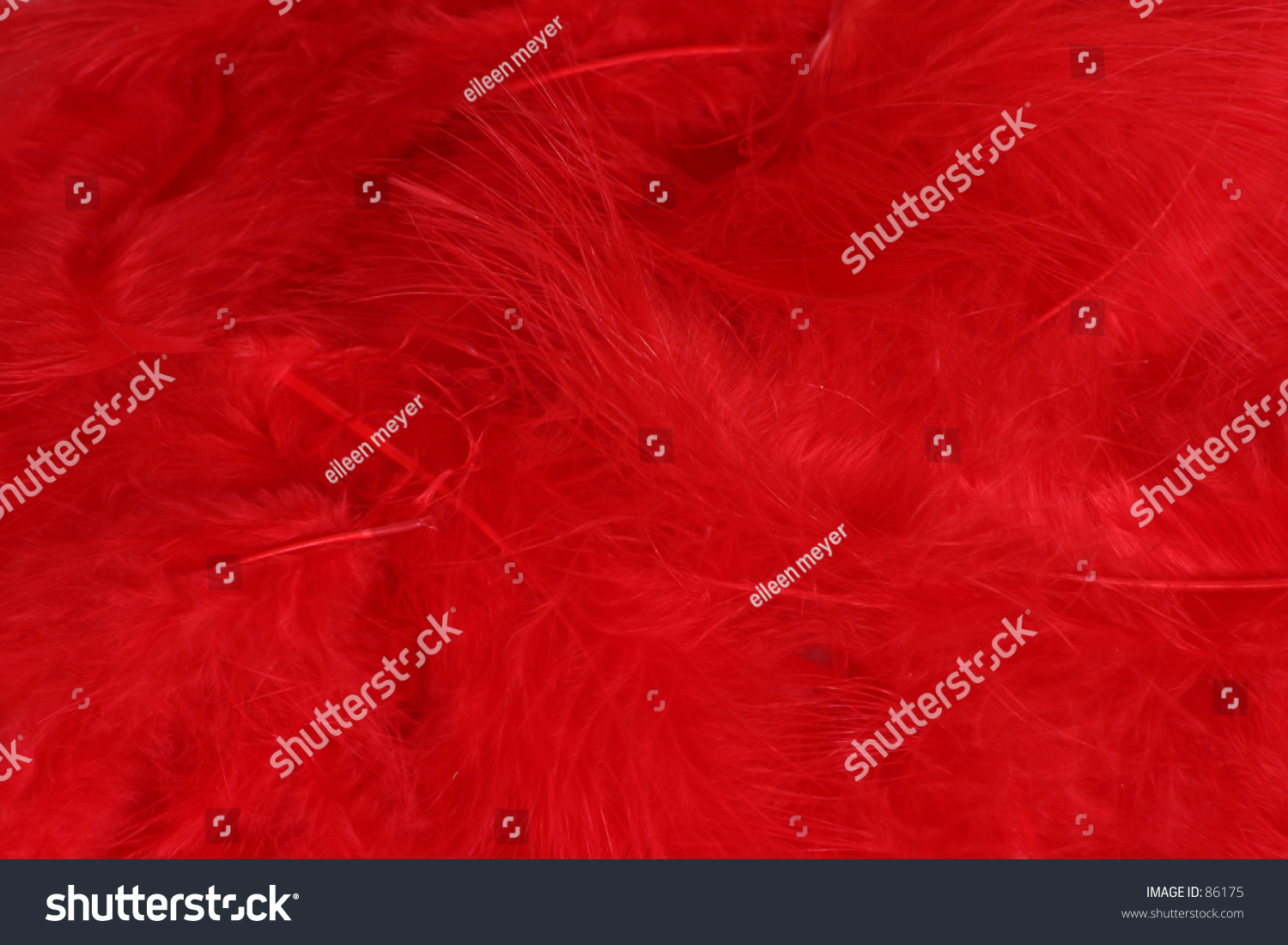 Red Feathers Stock Photo 86175 | Shutterstock