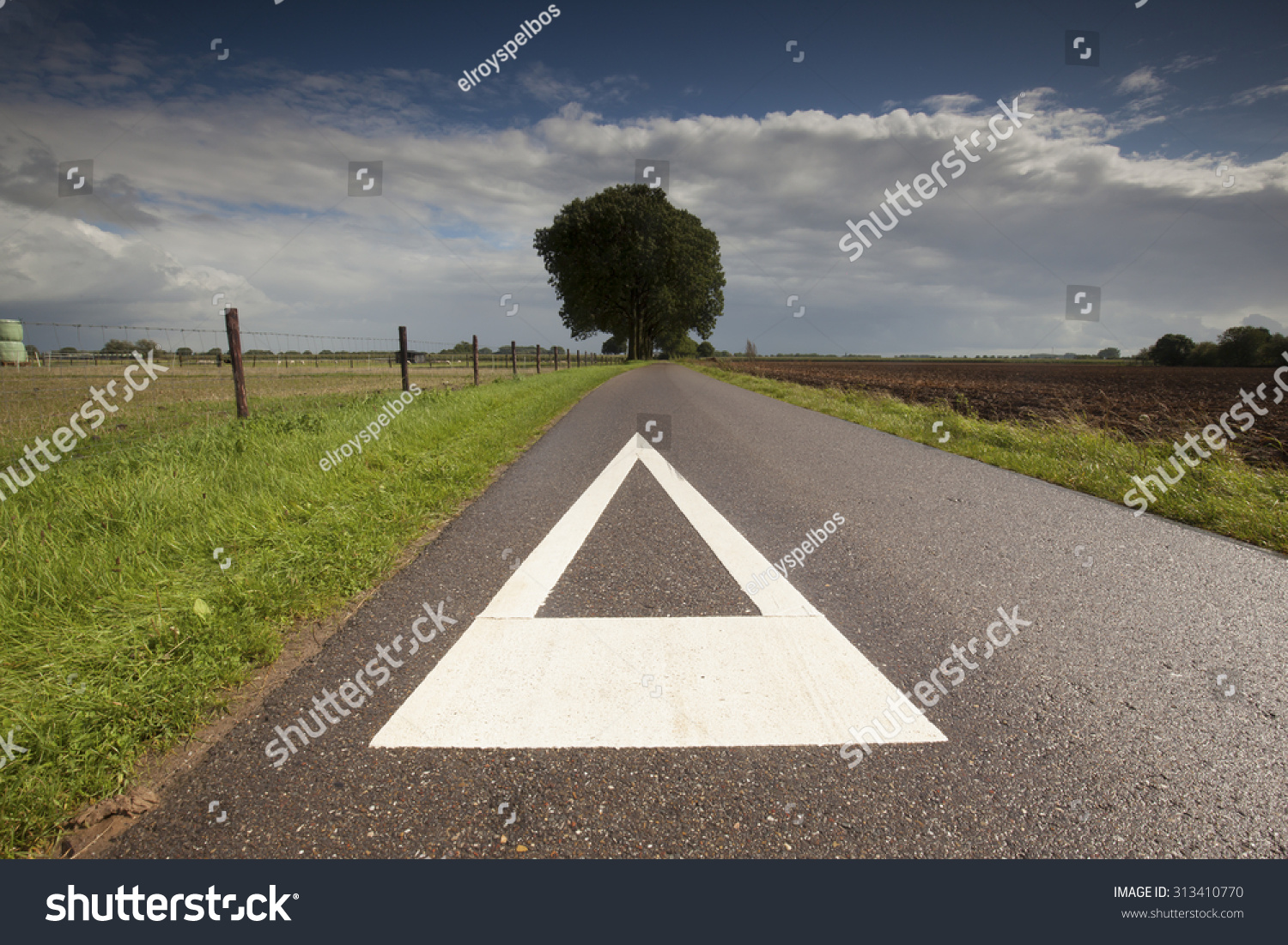 4,092 Wide depth of field Images, Stock Photos & Vectors | Shutterstock