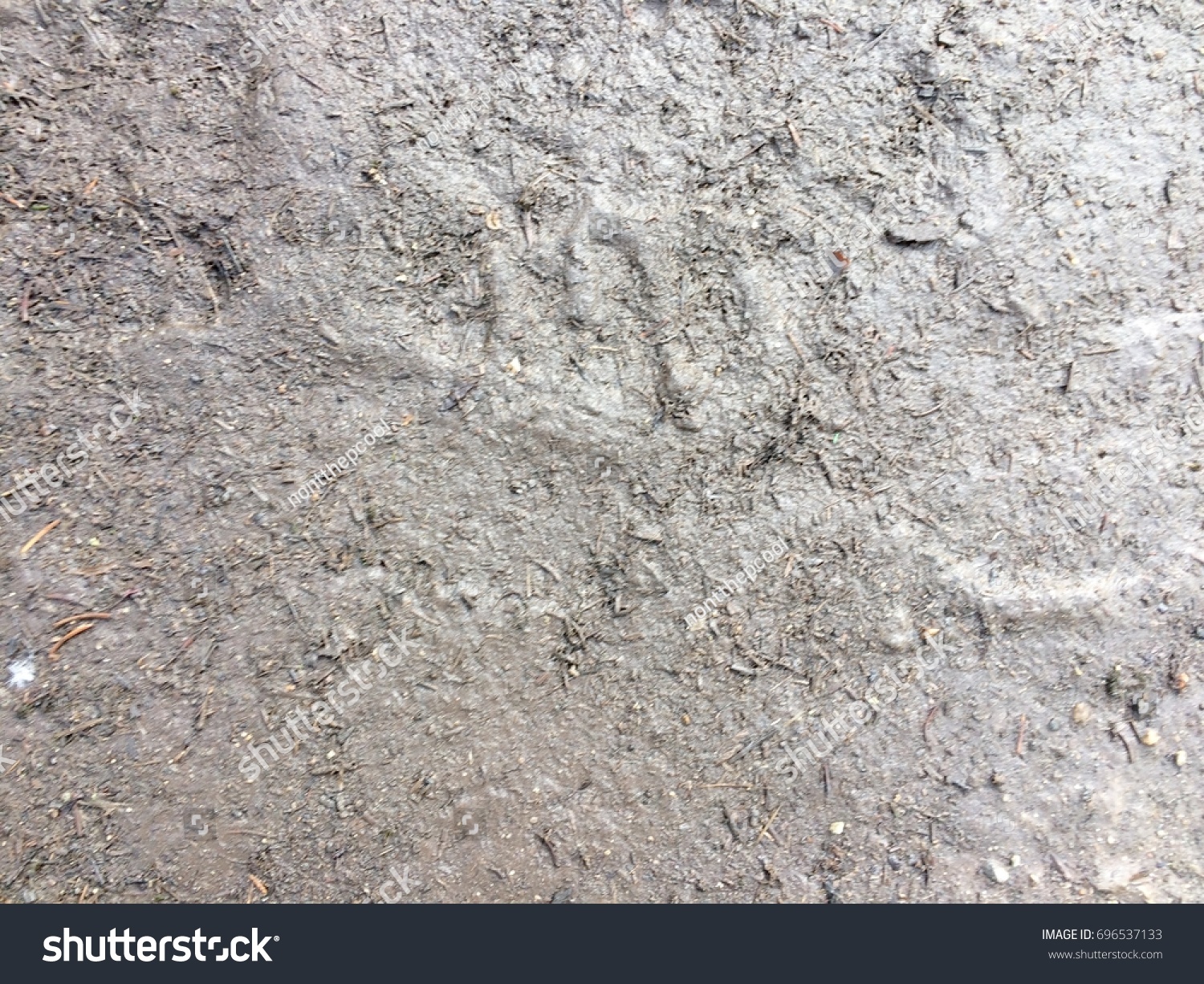 Rough Stone Surface Texture Background Stock Photo 696537133 | Shutterstock
