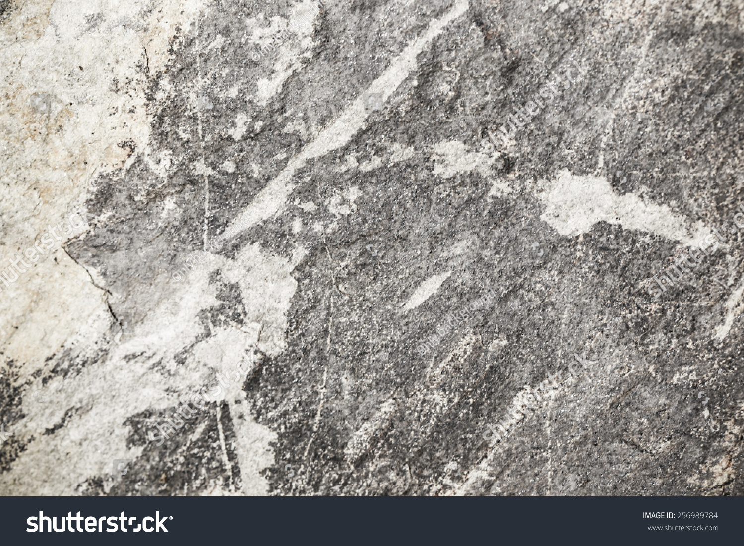 Rough Stone Texture Background Stock Photo 256989784 | Shutterstock