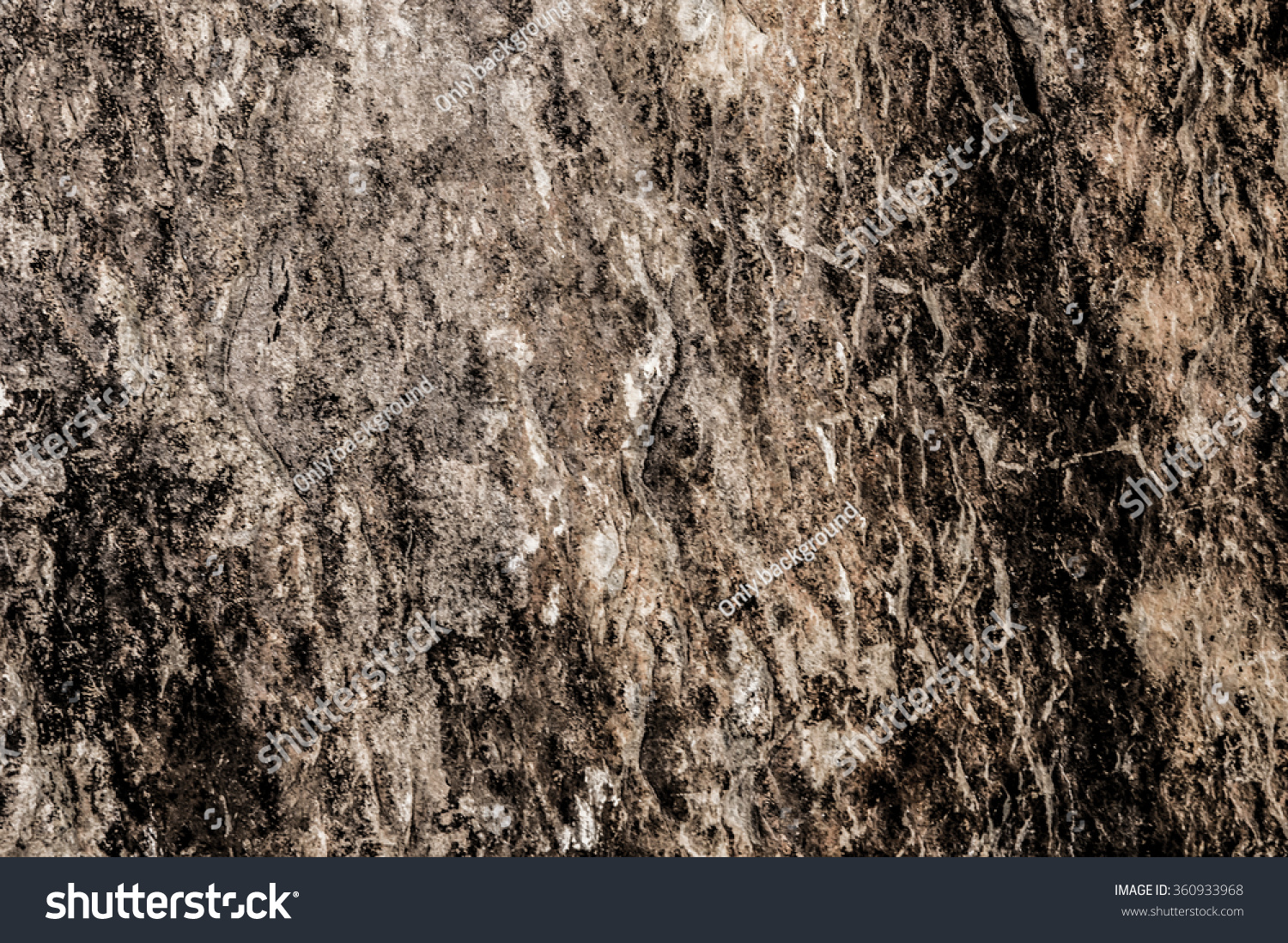 Rough Stone Texture Background Stock Photo 360933968 | Shutterstock